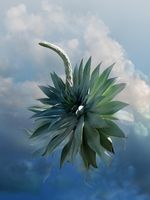 Free online dating – Meet your soulmate on https://www.proximeety.co.uk/